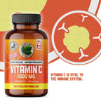 immune support with vitamin C