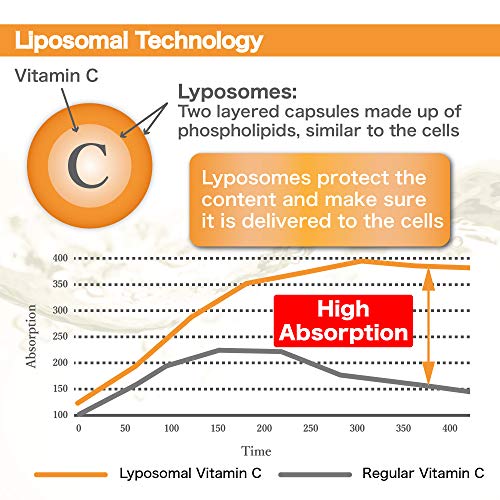 immune support with Vitamin C
