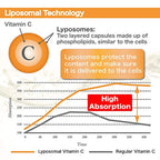 immune support with Vitamin C