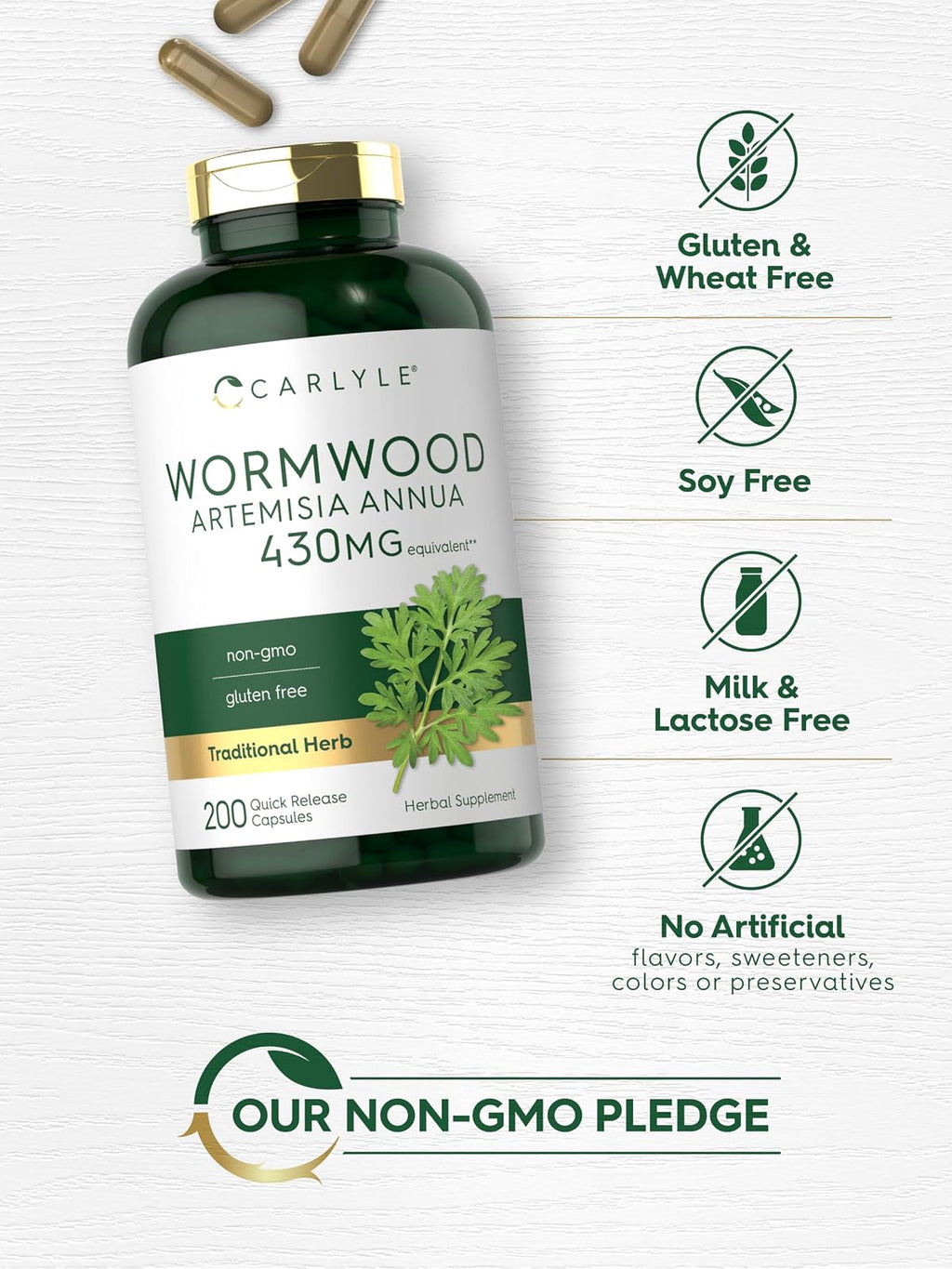 immune support with Wormwood