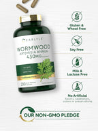 immune support with Wormwood