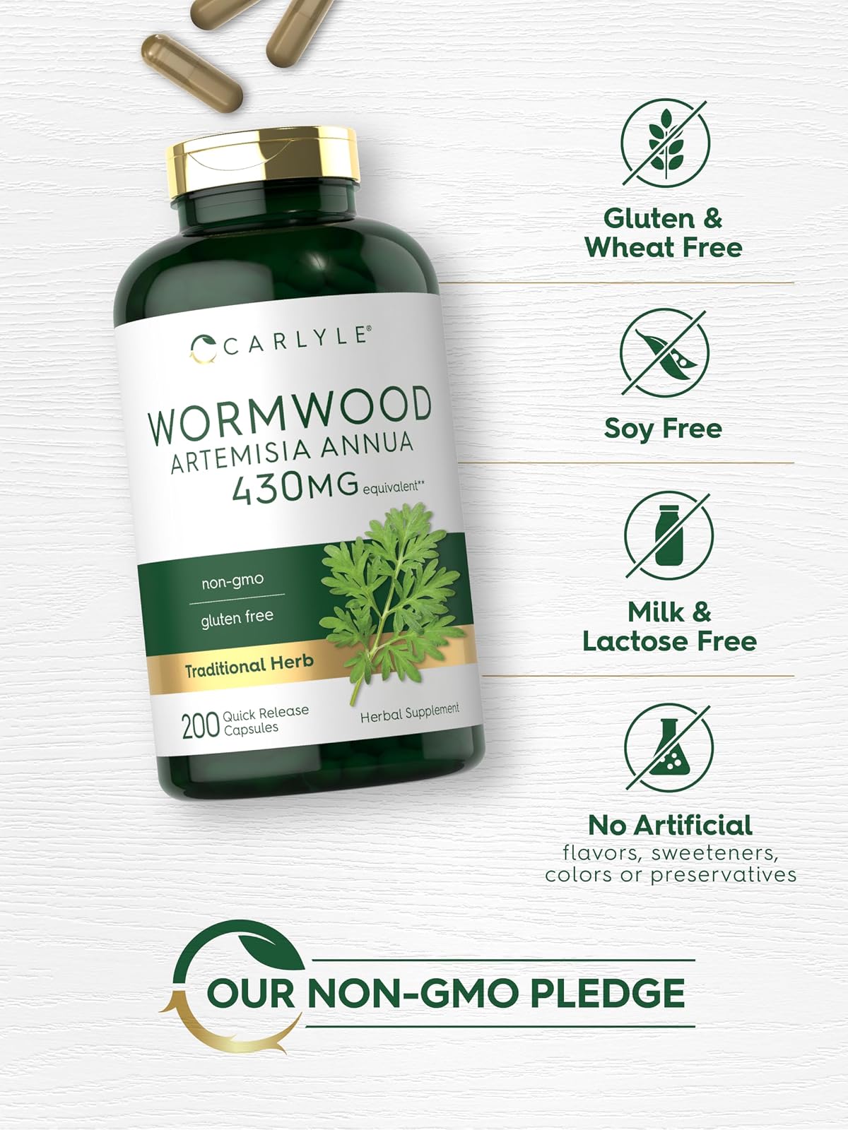 immune support with Wormwood