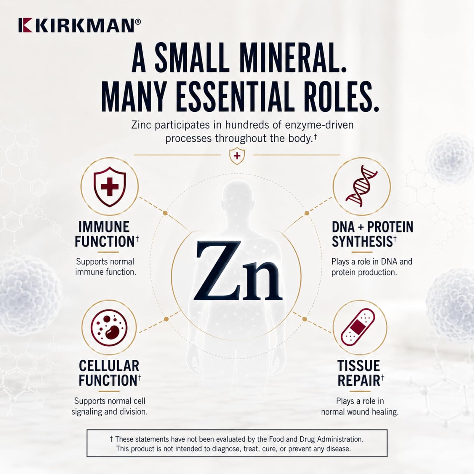 immune support with zinc