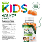 immune support zinc for kids