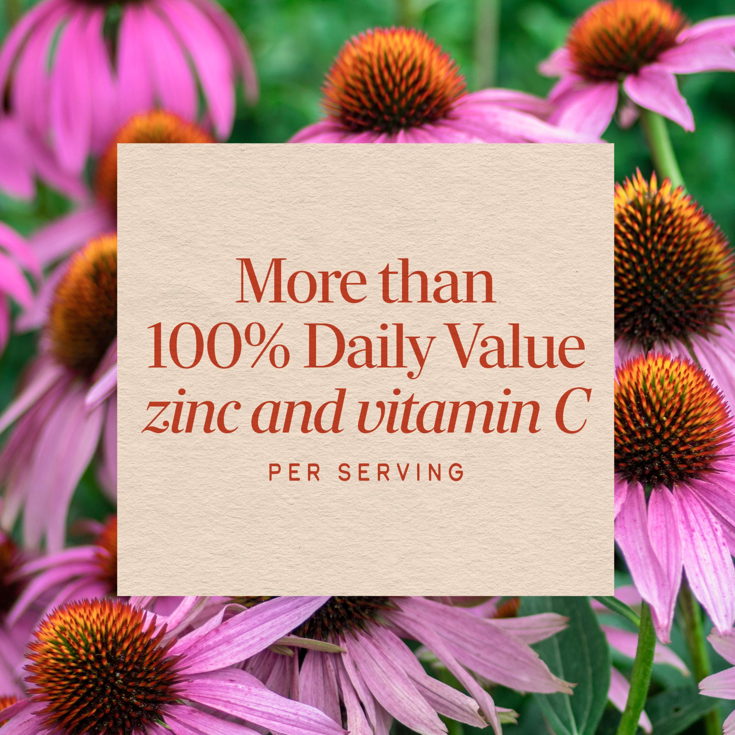 Immune support zinc for men