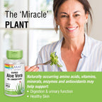 immune system boost Aloe Vera