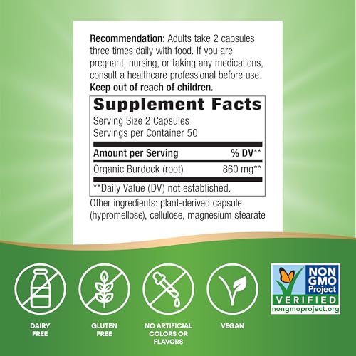 immune system boost burdock root