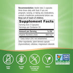 immune system boost burdock root