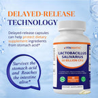 immune system boost probiotics