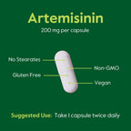 immune system boost with Artemisinin