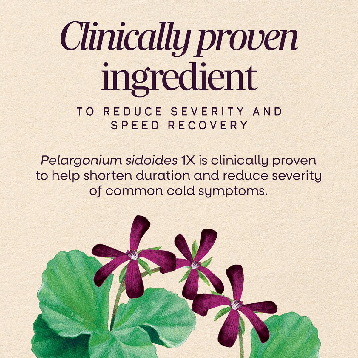 immune system booster elderberry tablets