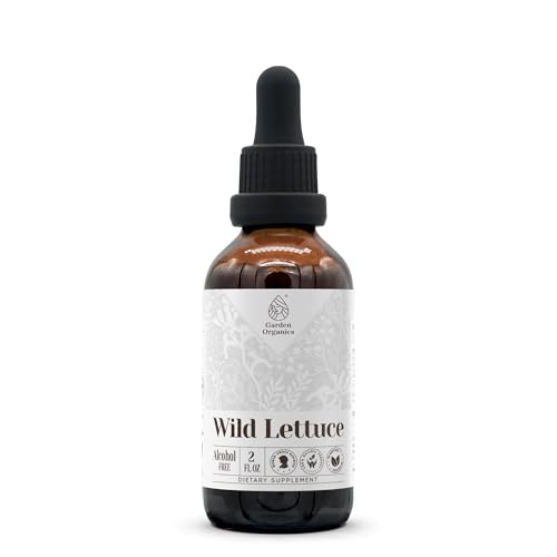 immune system booster liquid extract