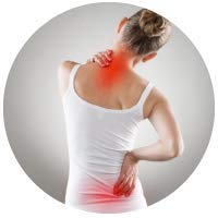 immune system booster with antioxidants