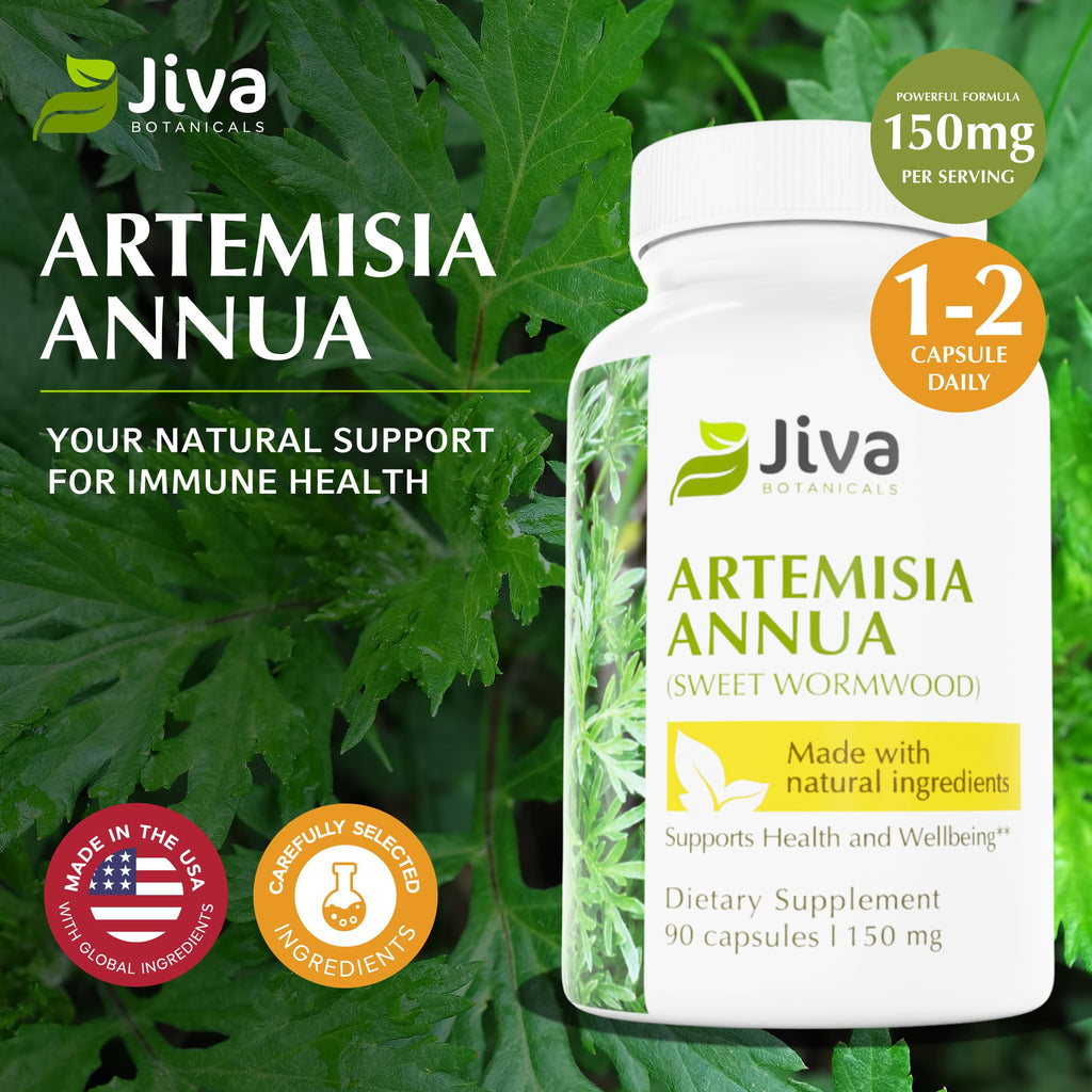 immune system boosters with artemisia annua