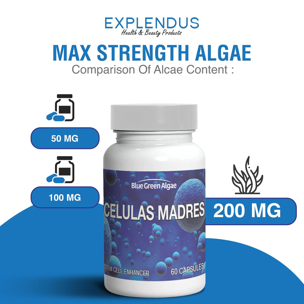 immune system boosting supplements