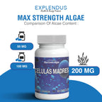 immune system boosting supplements