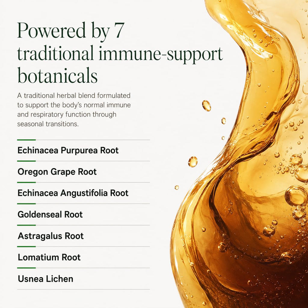 immune system enhancement with echinacea