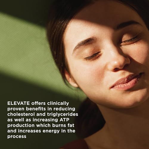 immune system support blended vitamin & mineral supplements