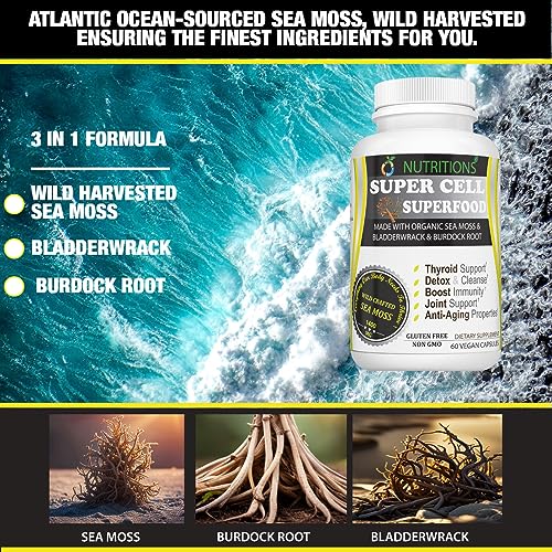 immune system support capsules