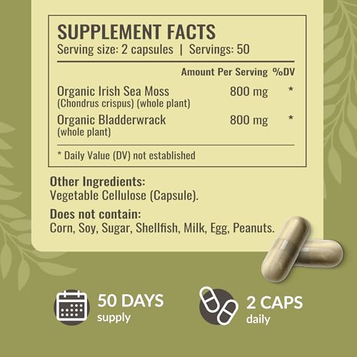 immune system support herbal capsules