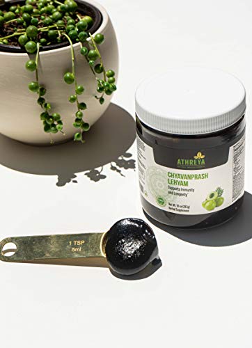 immune system support jam