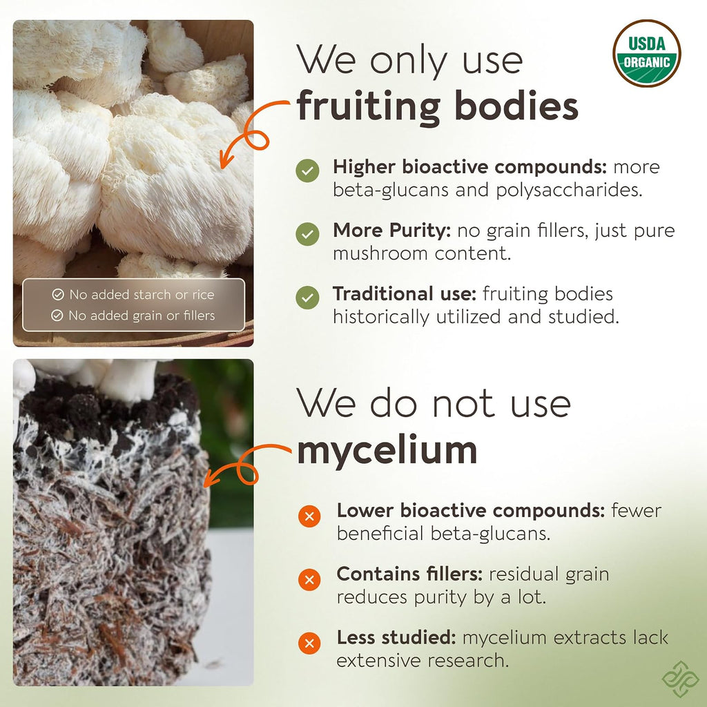 immune system support lion's mane