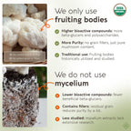 immune system support lion's mane