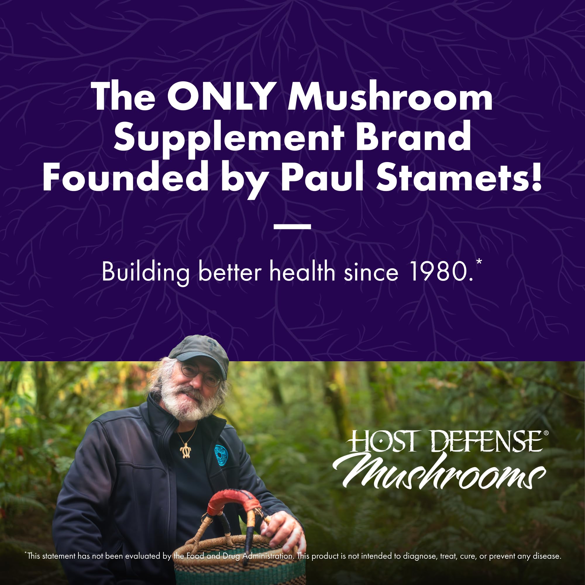 immune system support liquid extract