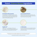 immune system support multivitamins