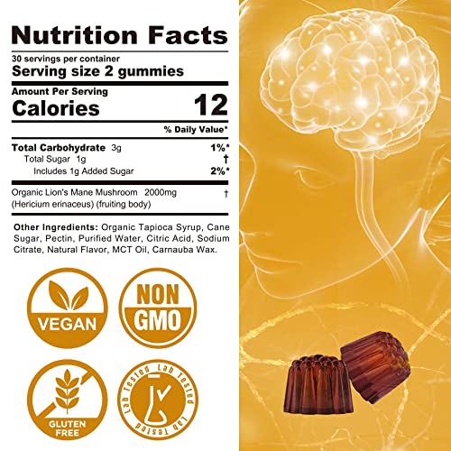 Immune system support mushroom gummies