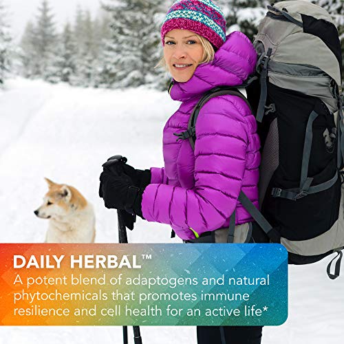 immune system support supplement