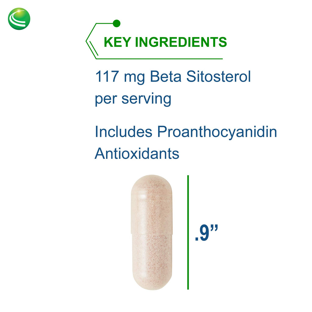 immune system support supplements