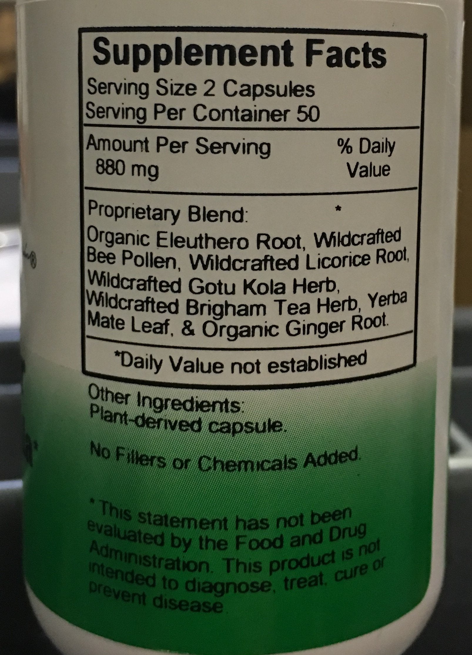 immune system support supplements