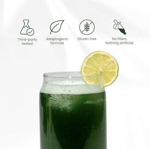 immune system support supplements