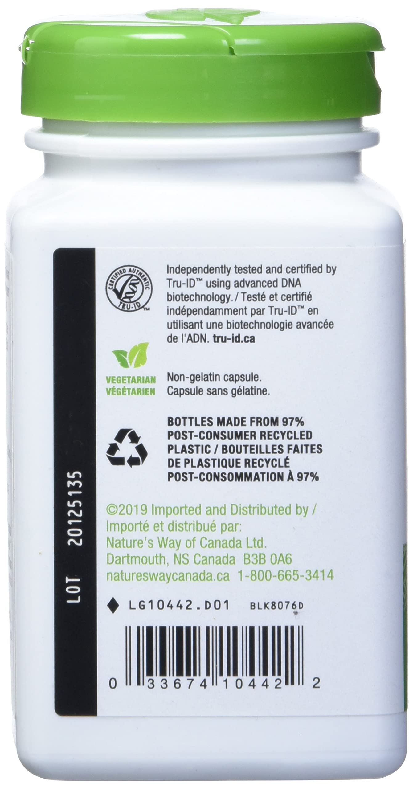 immune system support supplements