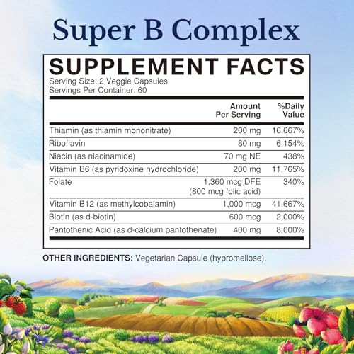 immune system support Vitamin B complex