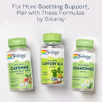 immune system support vitamins