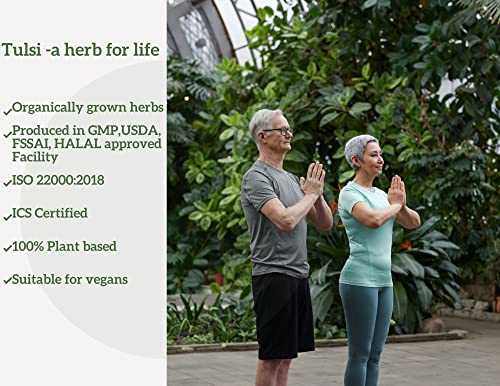 immune system support vitamins