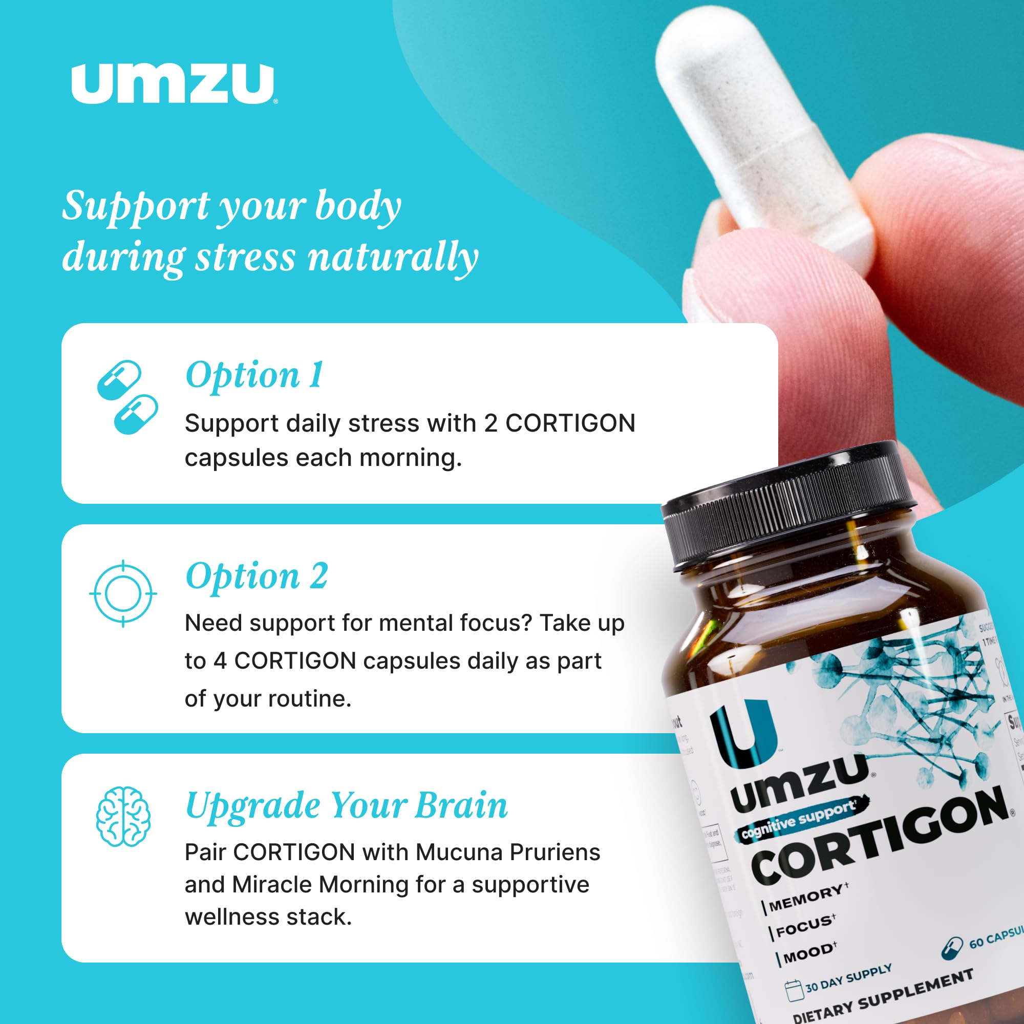 immune system support vitamins