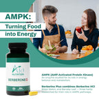 immune system support vitamins