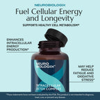 immune system support with antioxidants