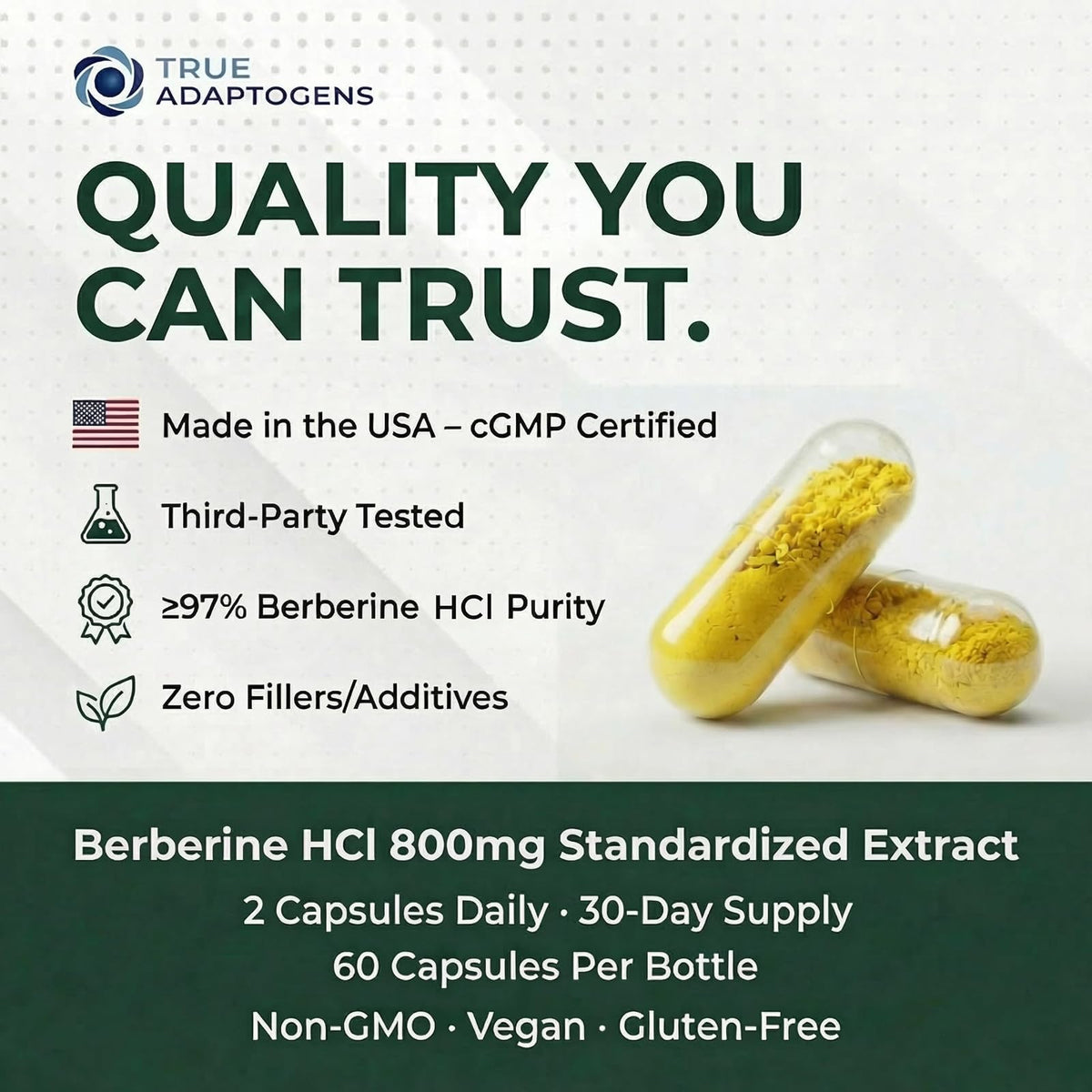 immune system support with berberine