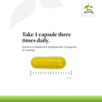 immune system support with Berberine