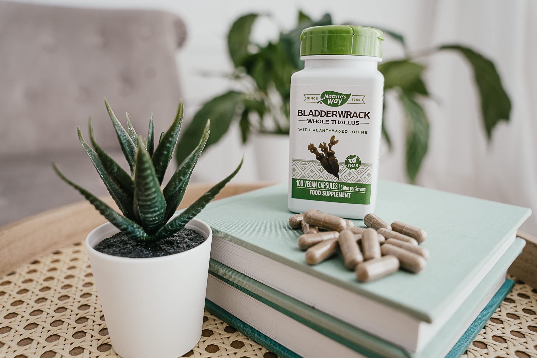 immune system support with blended vitamins