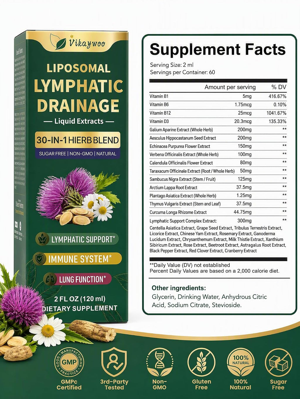 immune system support with Echinacea