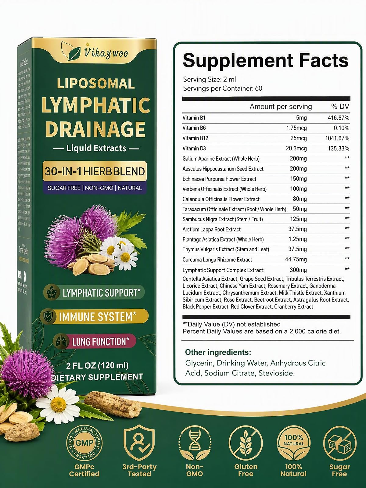 immune system support with Echinacea