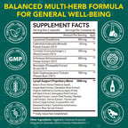immune system support with Echinacea