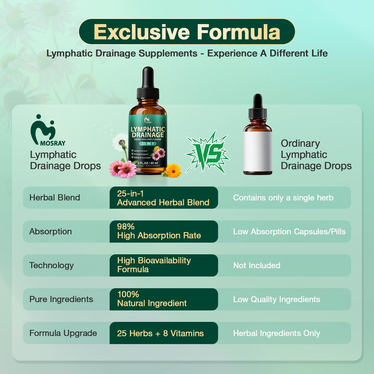 immune system support with echinacea