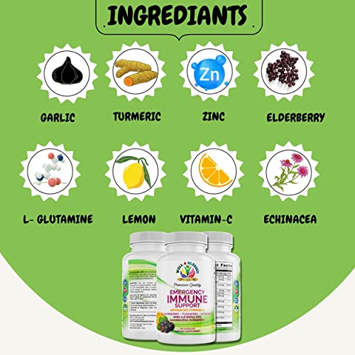 Immune system support with elderberry