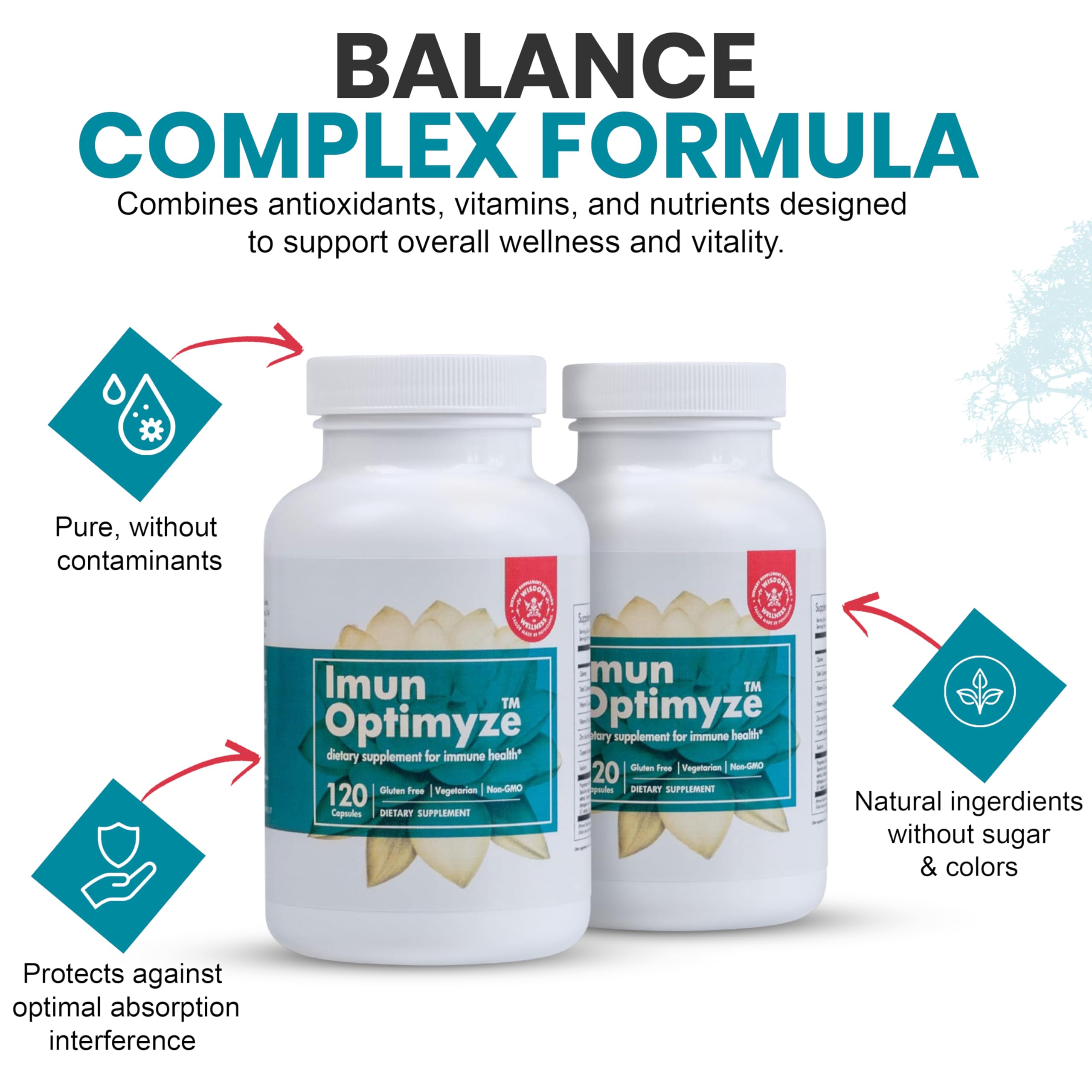 immune system support with elderberry